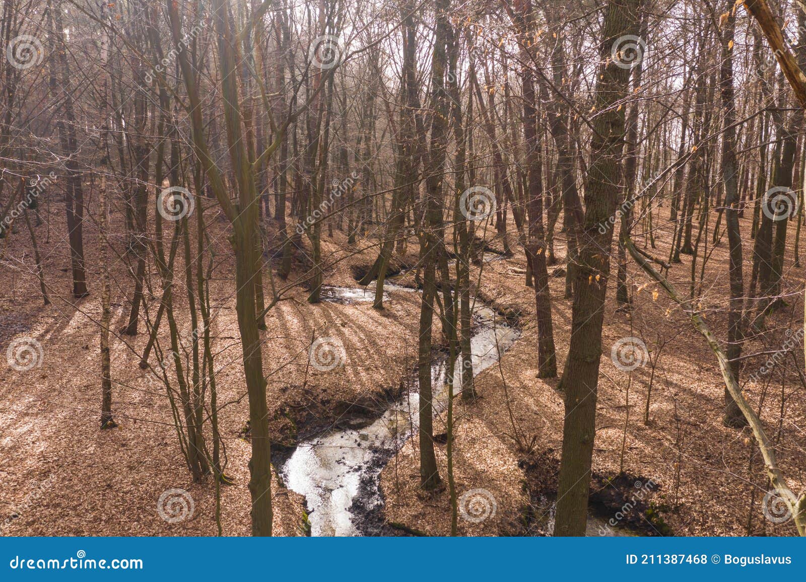 A Forest Stream Flowing through a Deep Ravine. Stock Photo - Image of ...