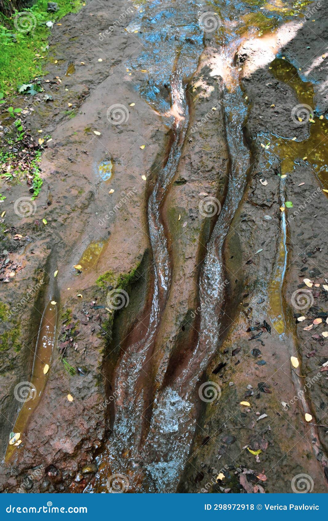 Forest Stream. Spring Turquoise Water. the Water Forms Its Course Over ...