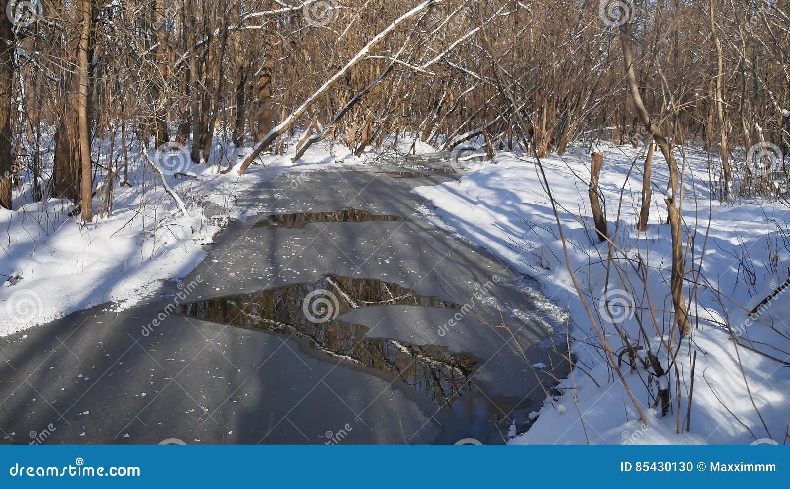 Forest Stream Landscape Flows in the Winter Forest Nature Snow, Stock ...
