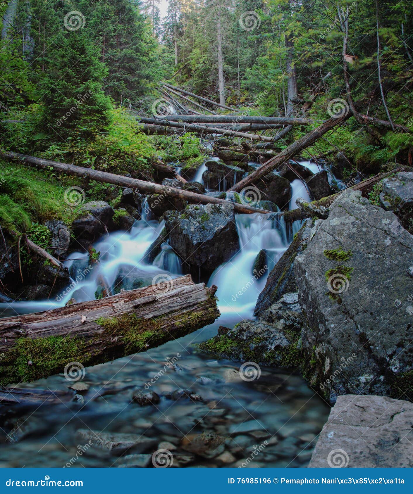 Forest Stream with Long Exposure Water Stock Photo - Image of river ...