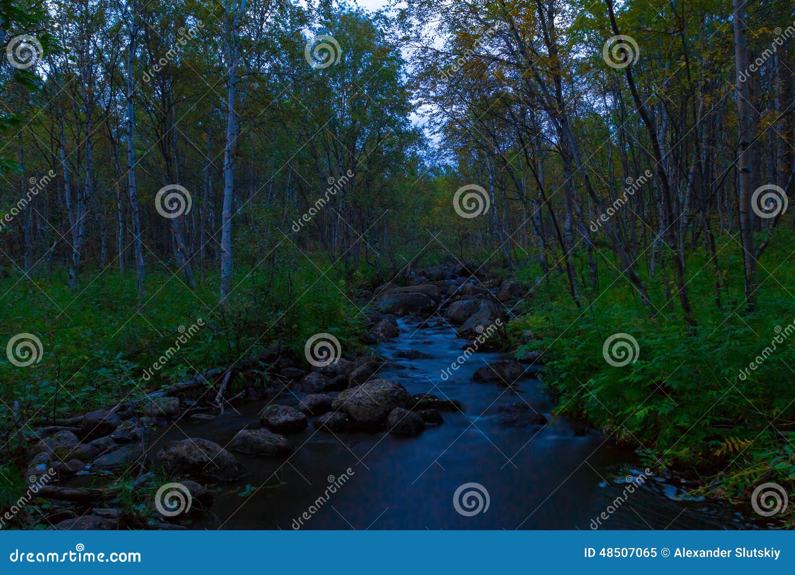 Forest stream at night stock image. Image of rapids, stream - 48507065