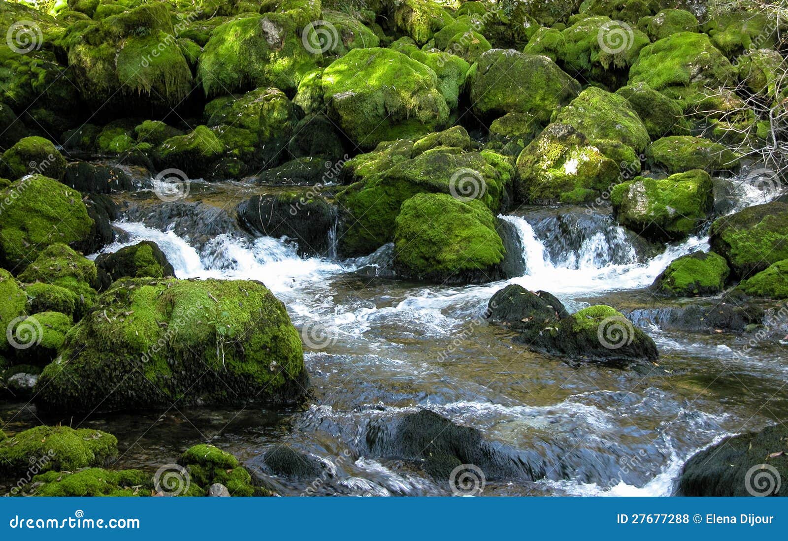 Forest Stream Over Green Mossy Rocks. Stock Photo - Image of alps ...