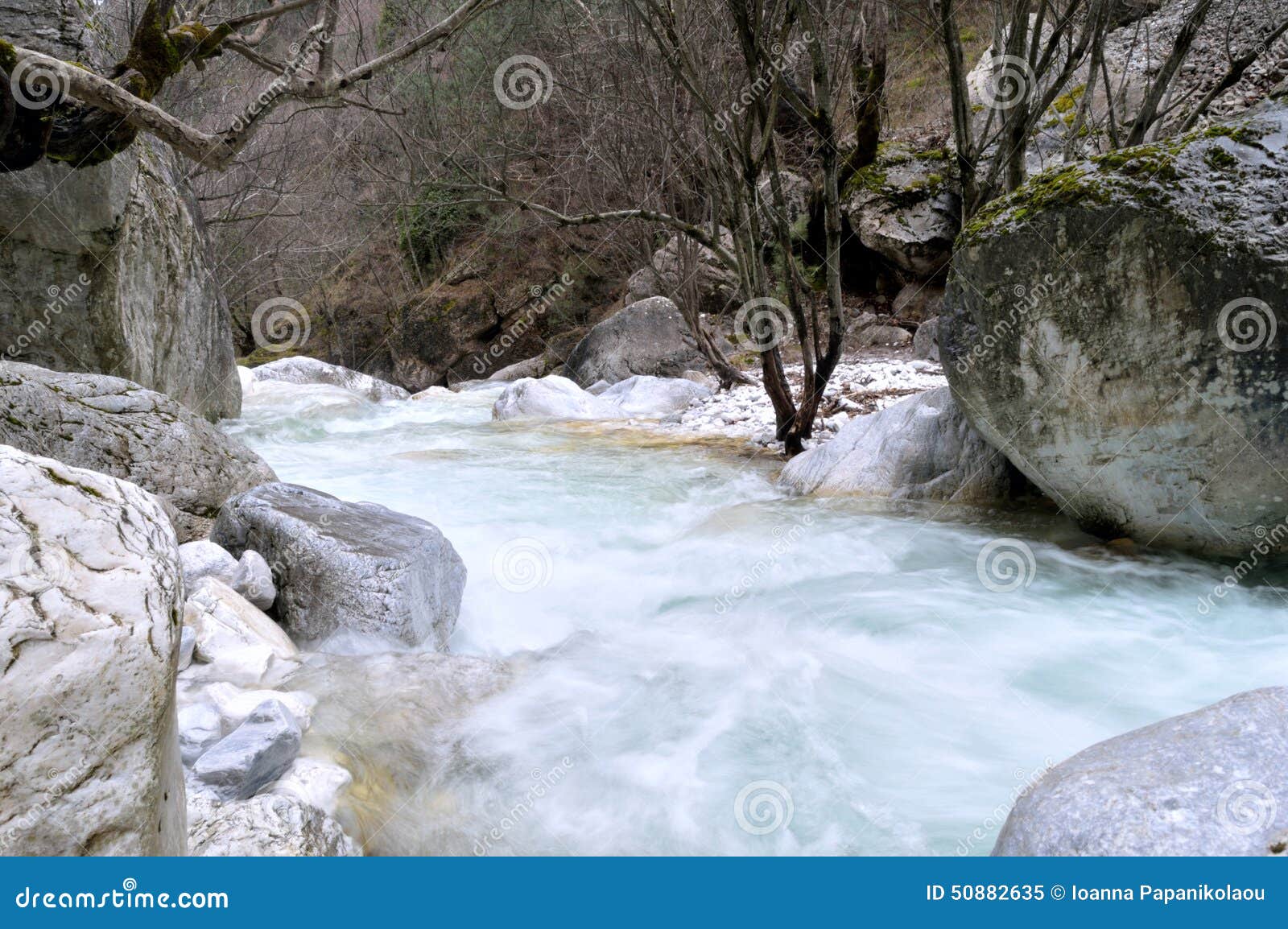 Forest Stream among Rocks and Bare Trees Stock Image - Image of long ...