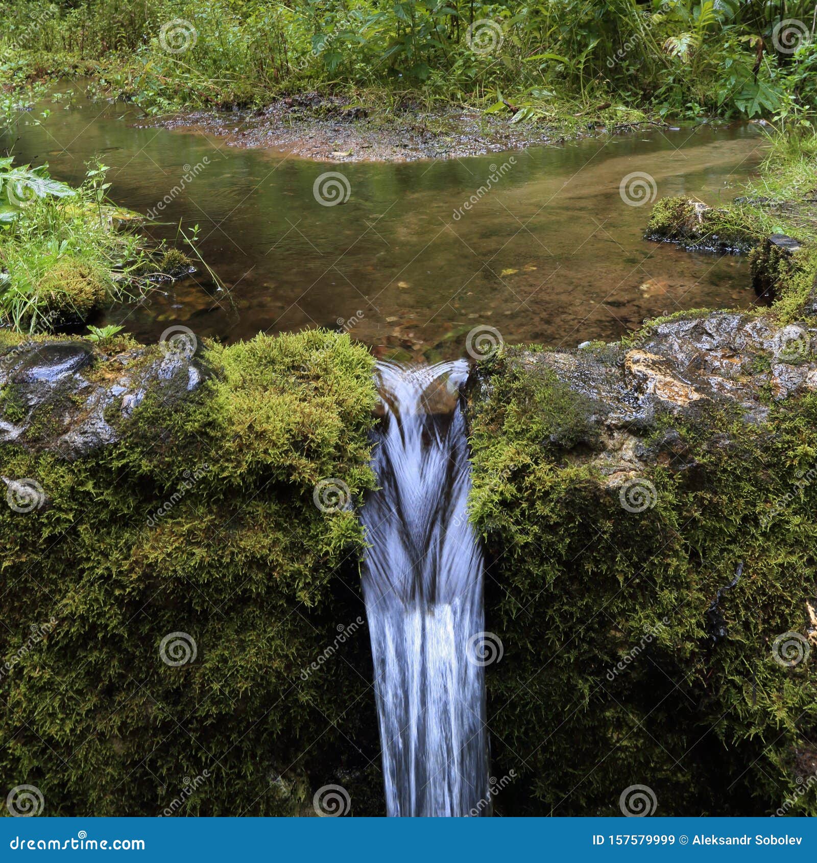 Stream in the Forest with Waterfall Stock Image - Image of grass ...