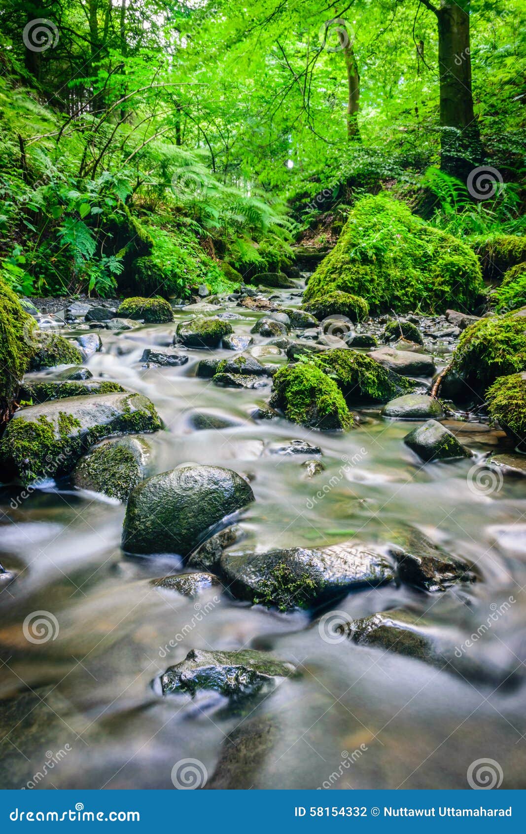 Forest Stream Running Over Mossy Rocks Stock Photo - Image of color ...