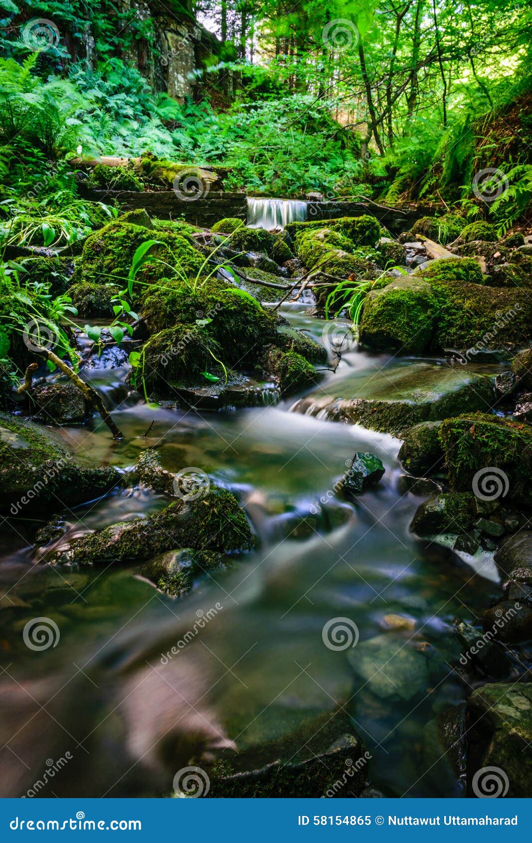 Forest Stream Running Over Mossy Rocks Stock Image - Image of ...