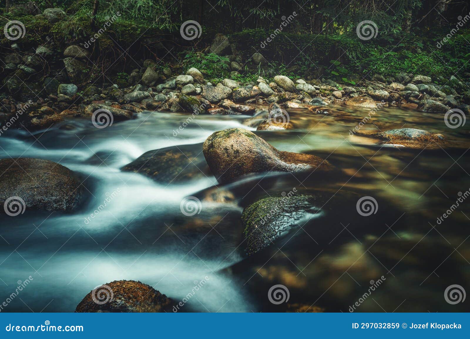 Forest Stream Running Over Mossy Rocks. Long Exposure. Stock Image ...