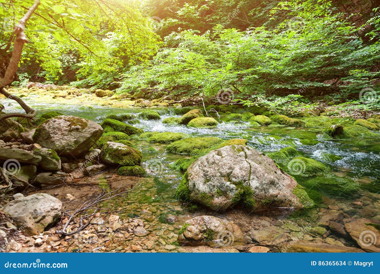 Forest Stream Running Over Mossy Rocks. the Mountain River in Crimea ...