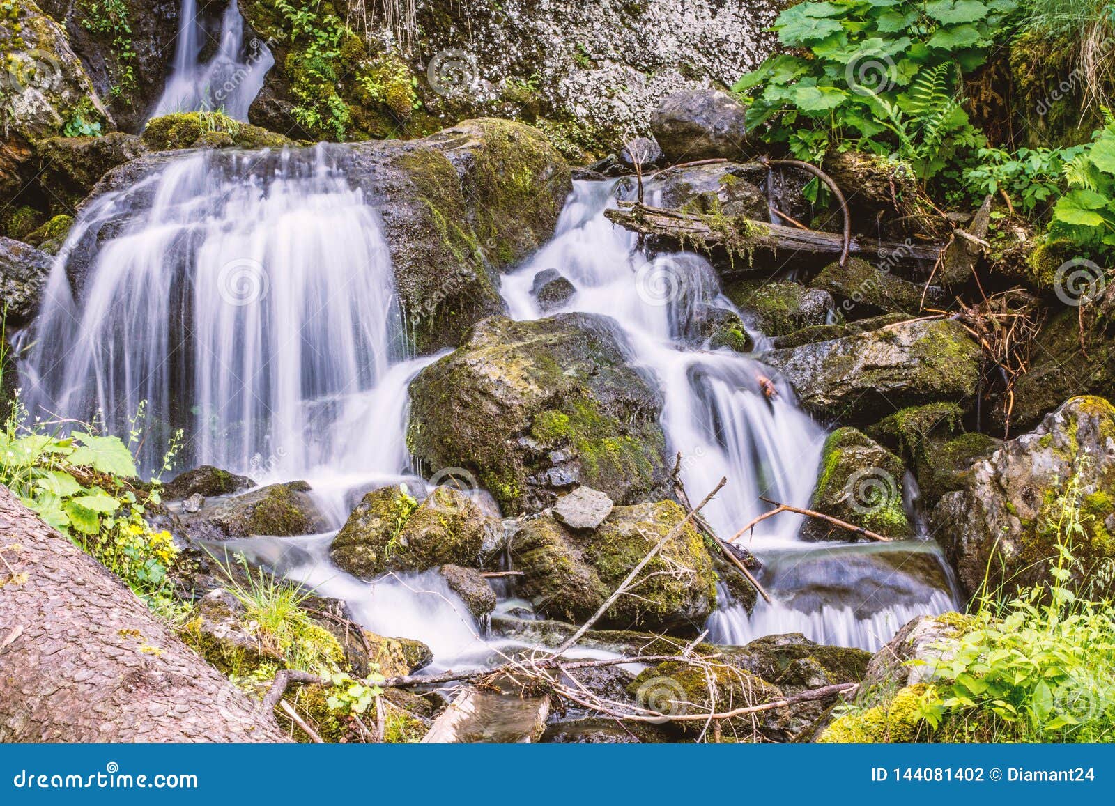 Forest Stream Running Over Rocks Stock Photo - Image of moss, plants ...