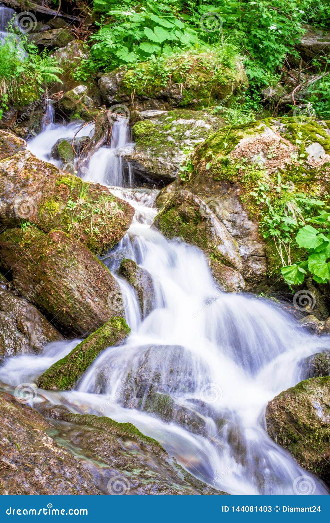 Forest Stream Running Over Rocks Stock Image - Image of rain, river ...
