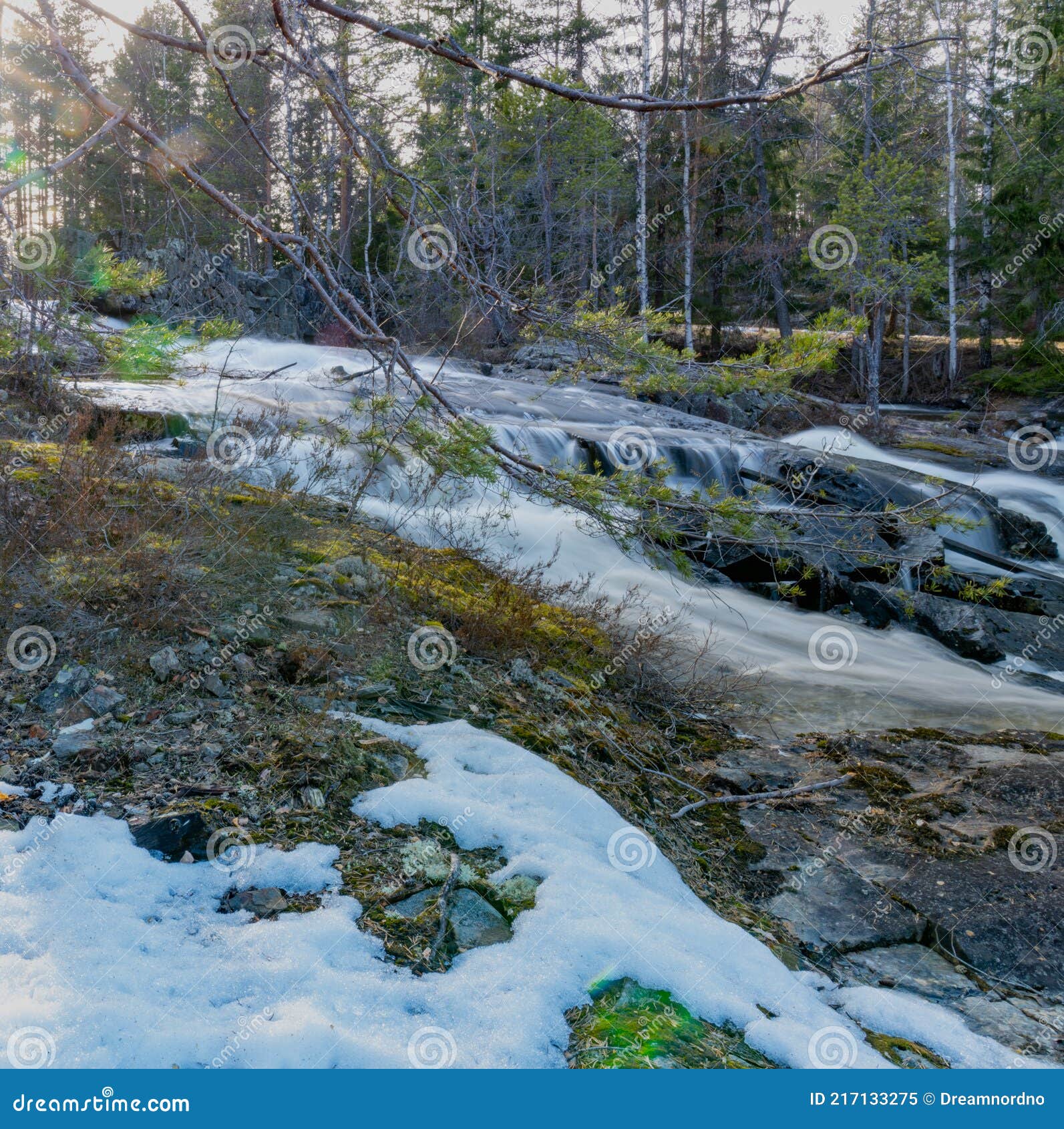 A Forest Stream in a Scandinavian Forest in Early Spring, Long Exposure ...