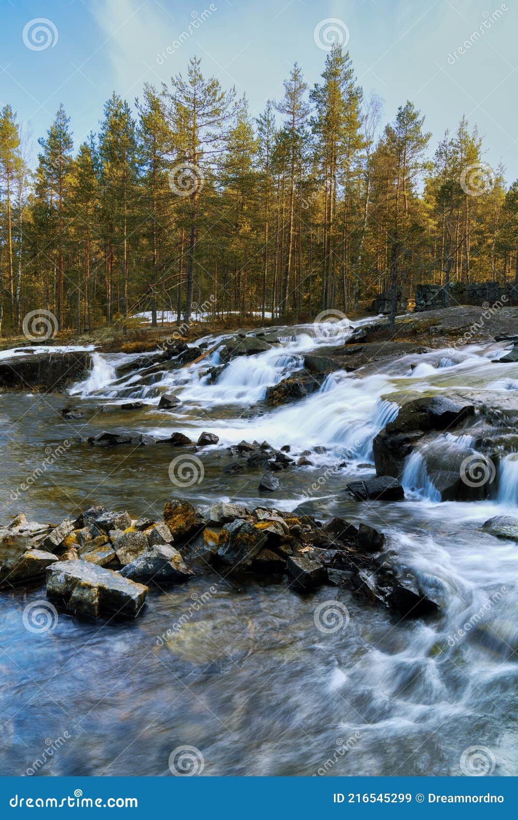 A Forest Stream in a Scandinavian Forest, Long Exposure Stock Image ...