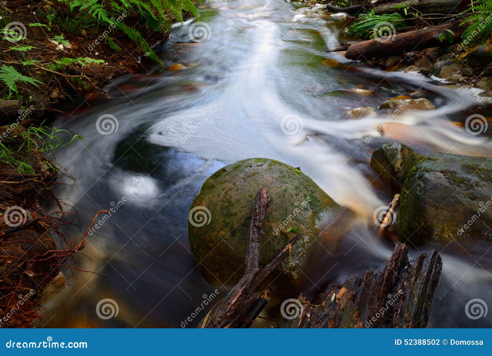 Forest Stream - South Africa Stock Photo - Image of canyon, garden ...