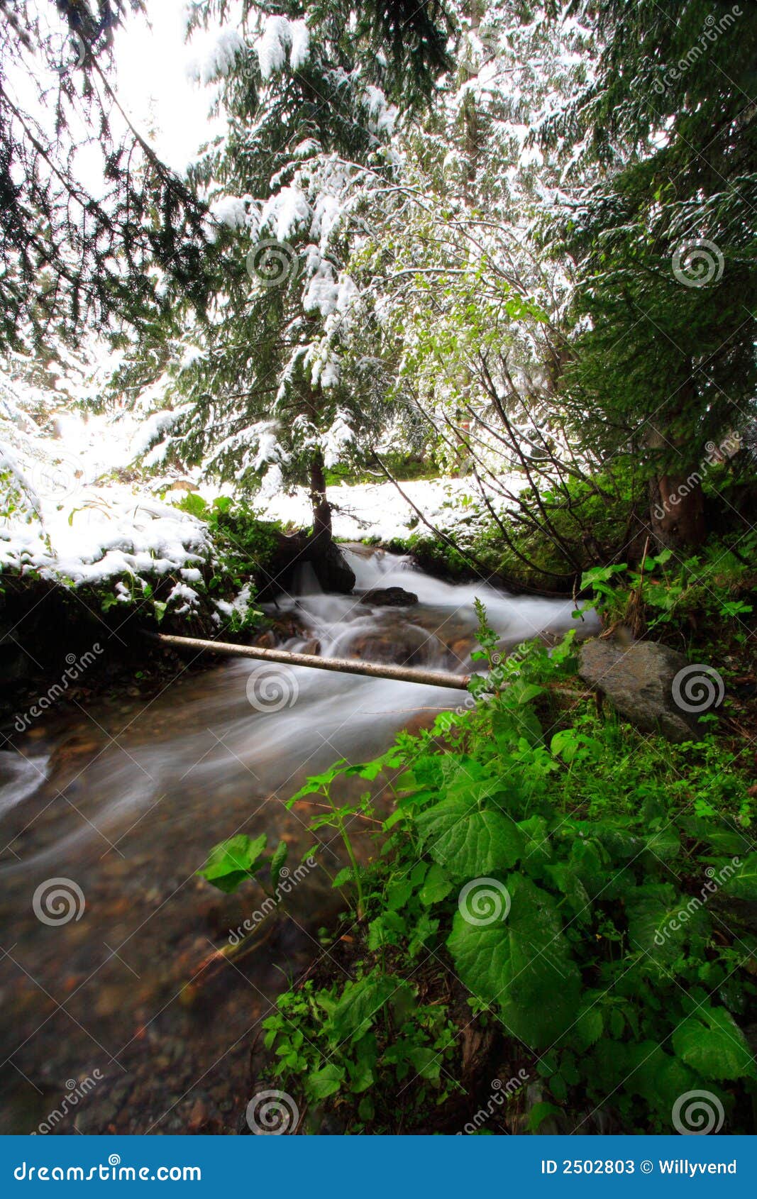 Forest stream spring snow stock image. Image of flow, rocky - 2502803 Forest stream spring snow stock image. Image of flow, rocky - 2502803