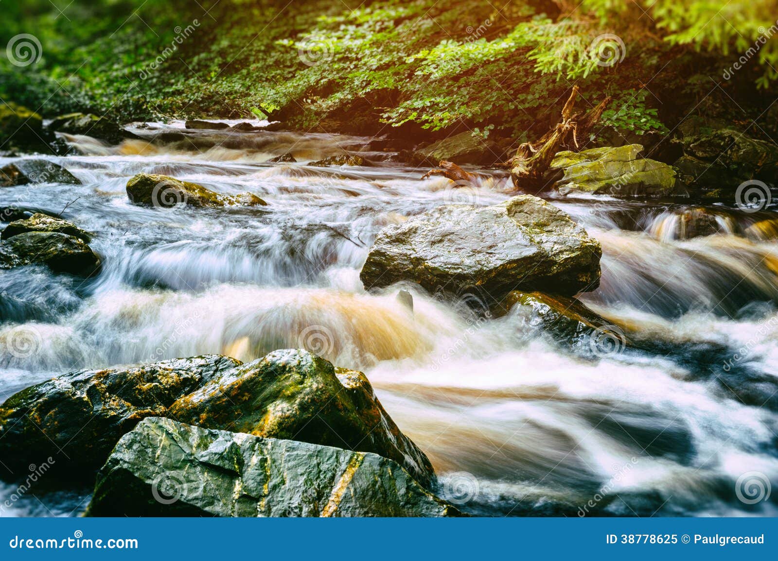 Forest stream stock image. Image of flowing, environment - 38778625