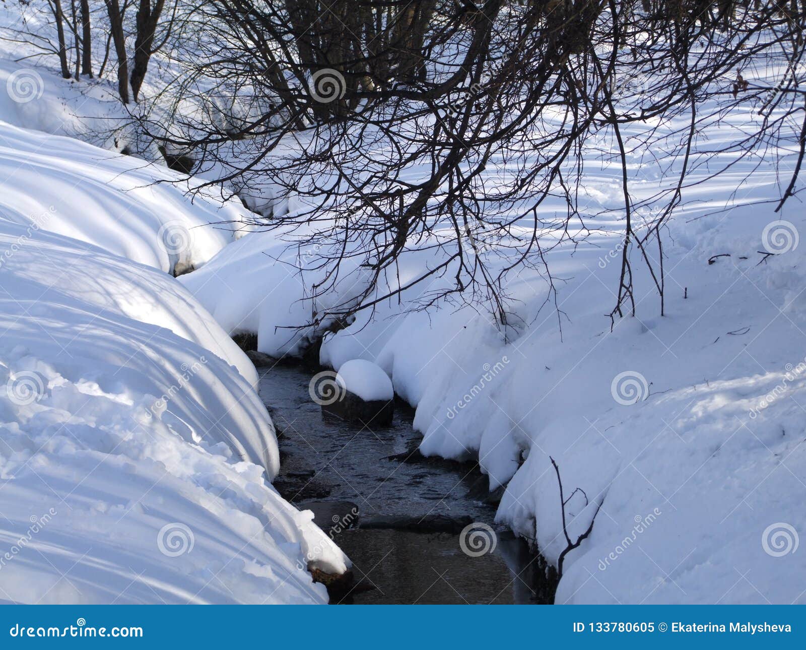 Forest Stream among Trees in Winter Stock Image - Image of house, cold ...