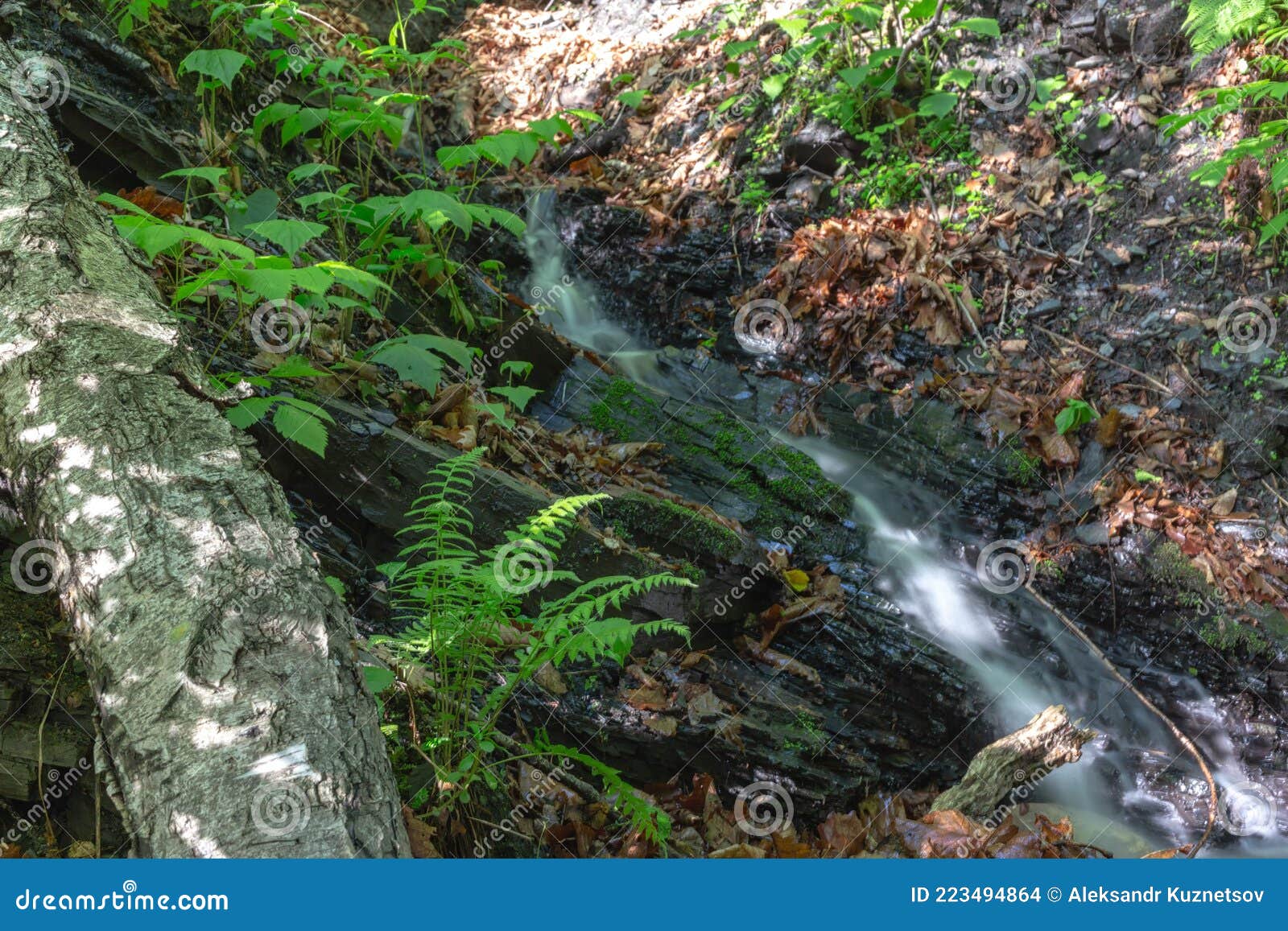 A Forest Stream Trickles Down a Stone Chute. Stock Photo - Image of ...