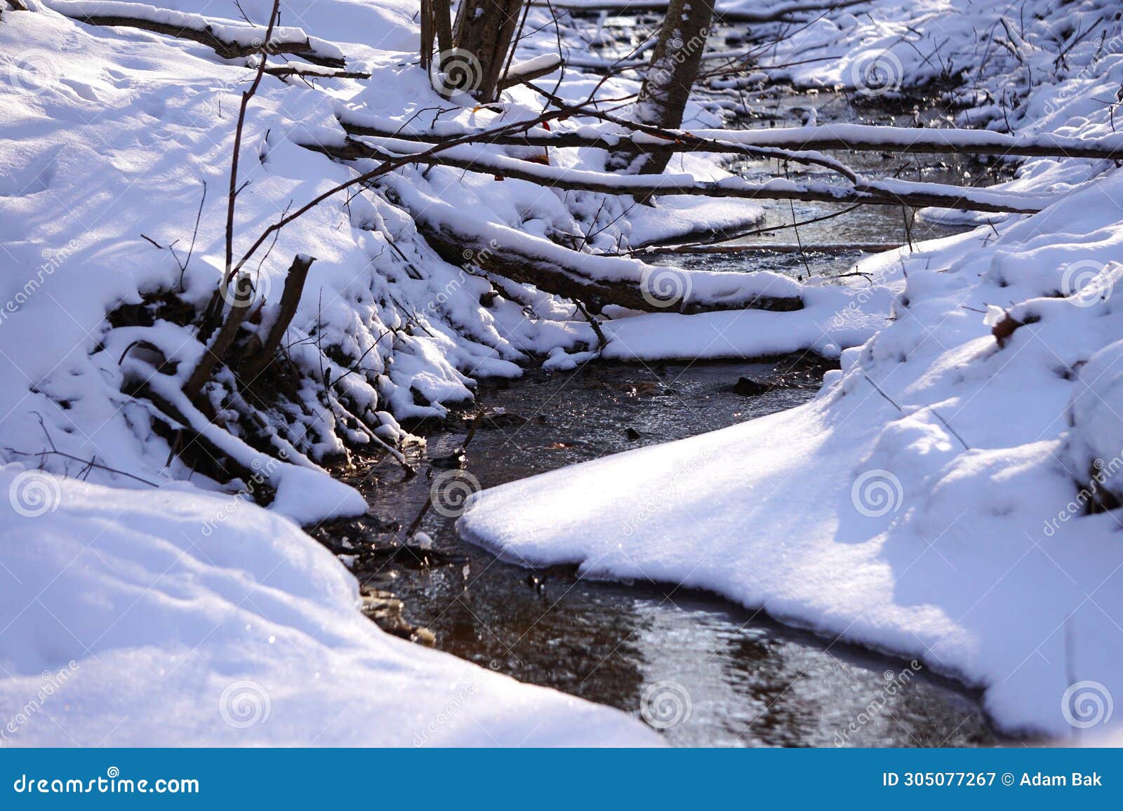 Forest Stream. Water Flows in a Winding Stream Surrounded by Snow Stock ...