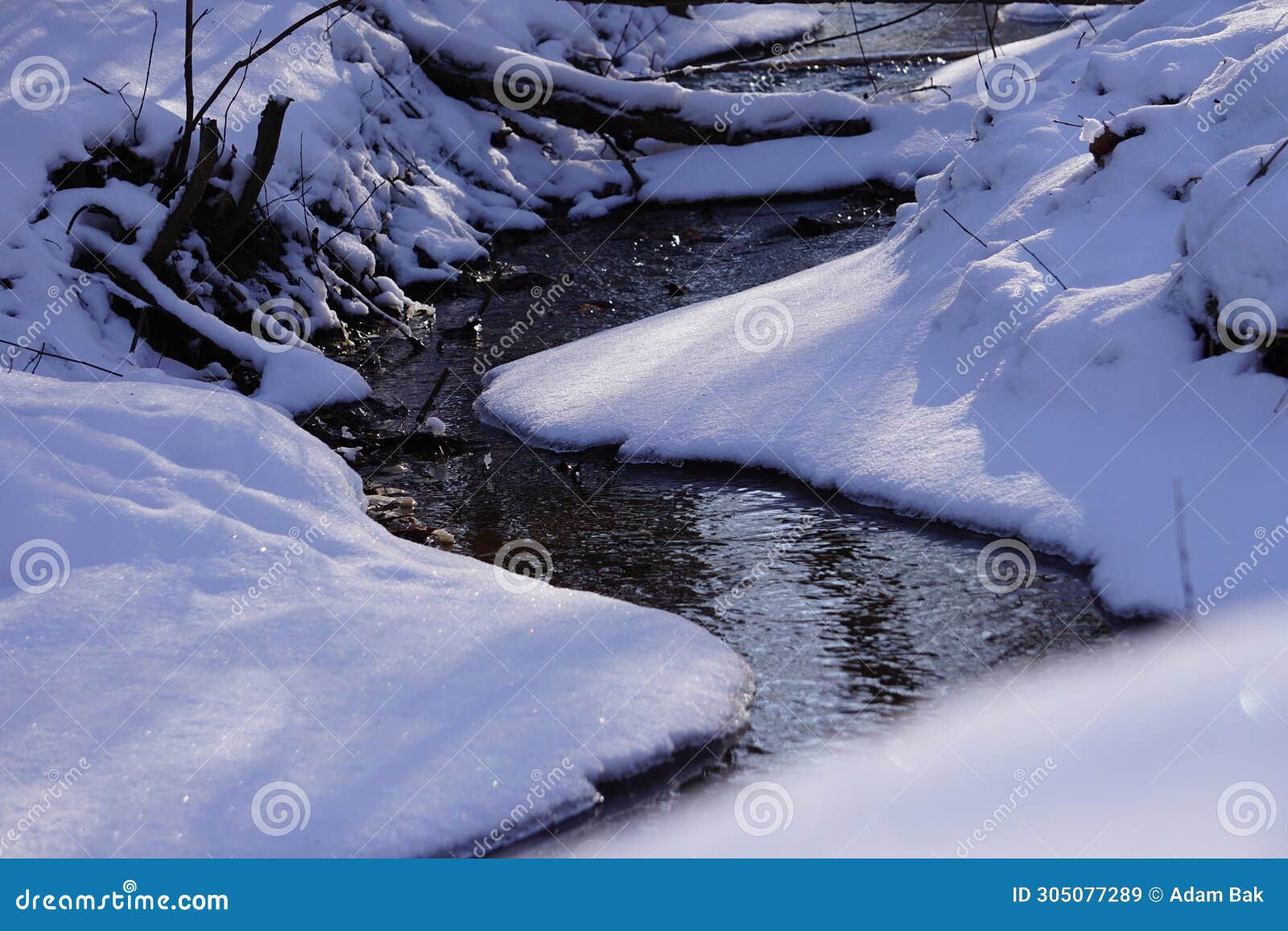 Forest Stream. Water Flows in a Winding Stream Surrounded by Snow Stock ...