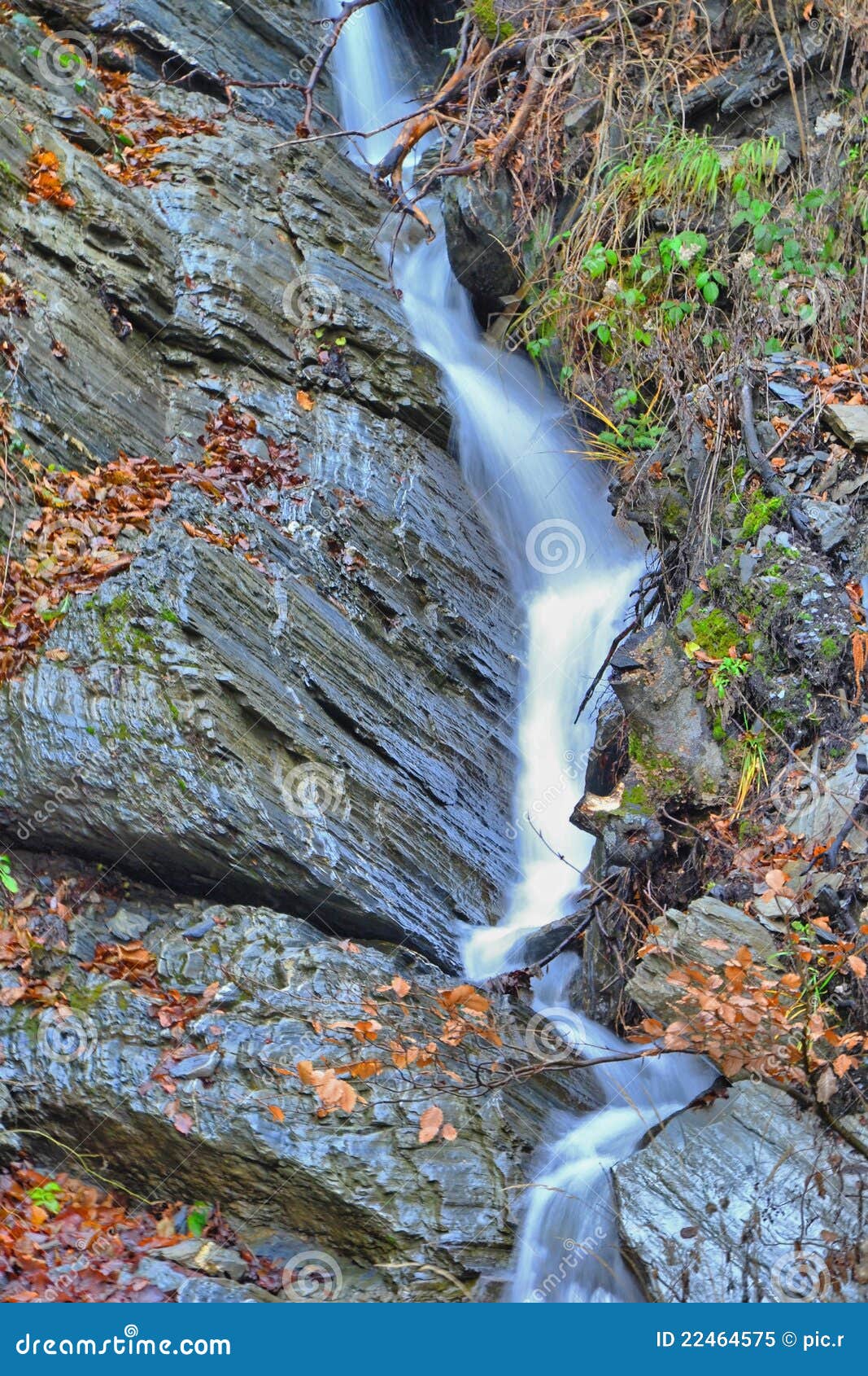 Forest stream waterfall stock image. Image of gray, brown - 22464575