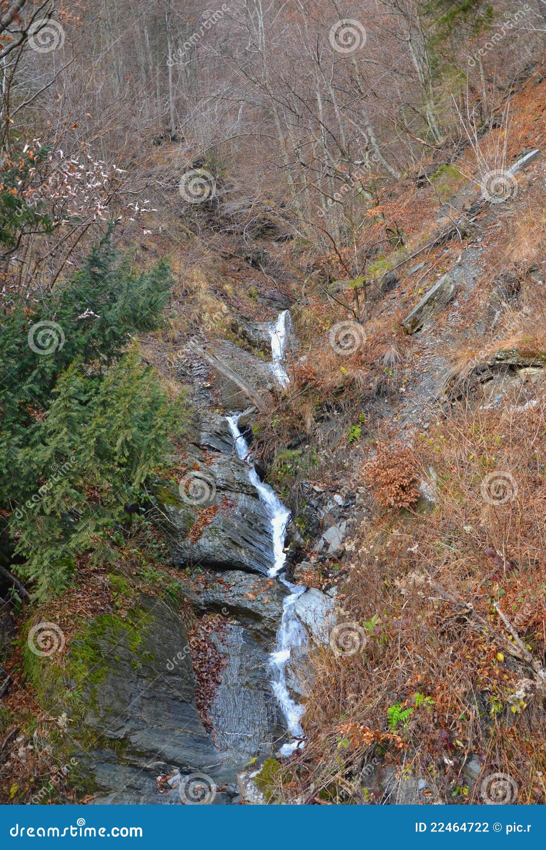 Forest stream waterfall stock photo. Image of black, leaf - 22464722