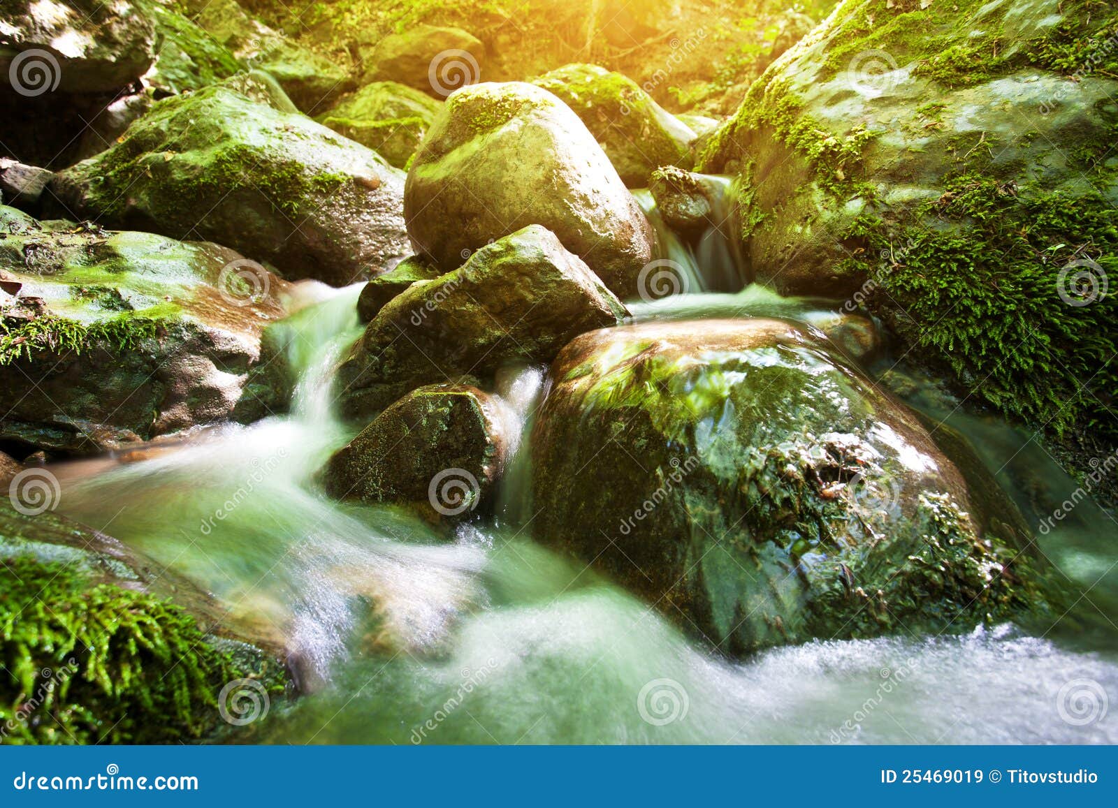 Forest Stream with a Waterfall Stock Image - Image of hiking, movement ...