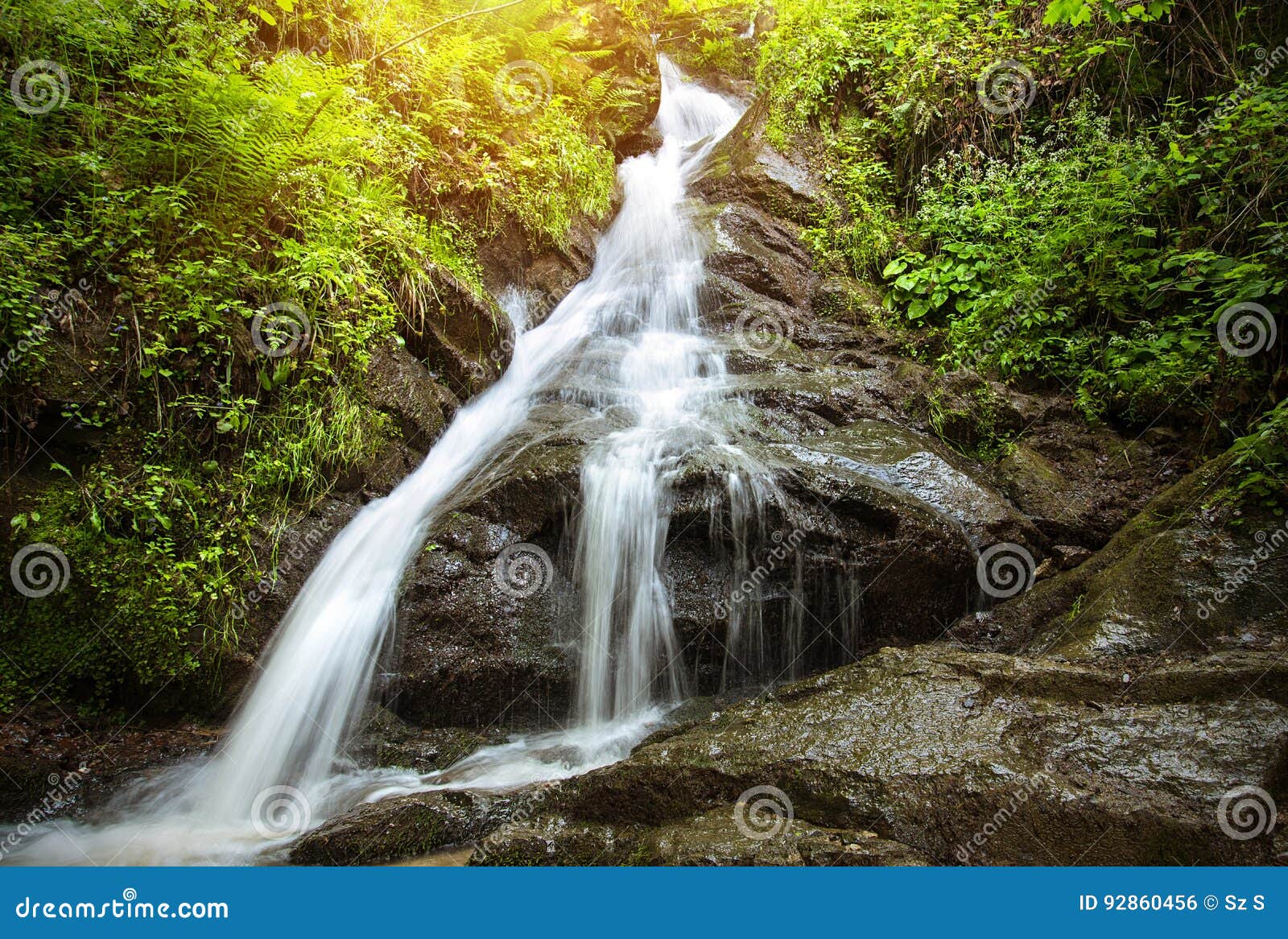 Forest stream waterfall stock photo. Image of fall, travel - 92860456
