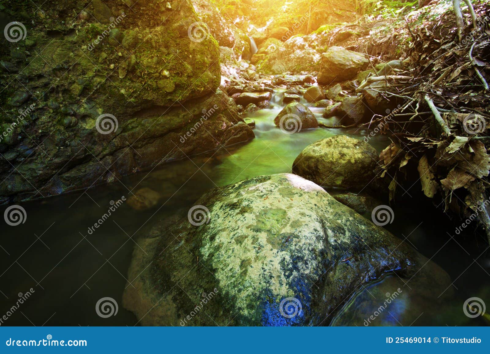 Forest Stream with a Waterfall and Rocks Stock Photo - Image of spring ...