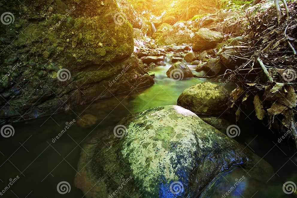 Forest Stream with a Waterfall and Rocks Stock Photo - Image of spring ...