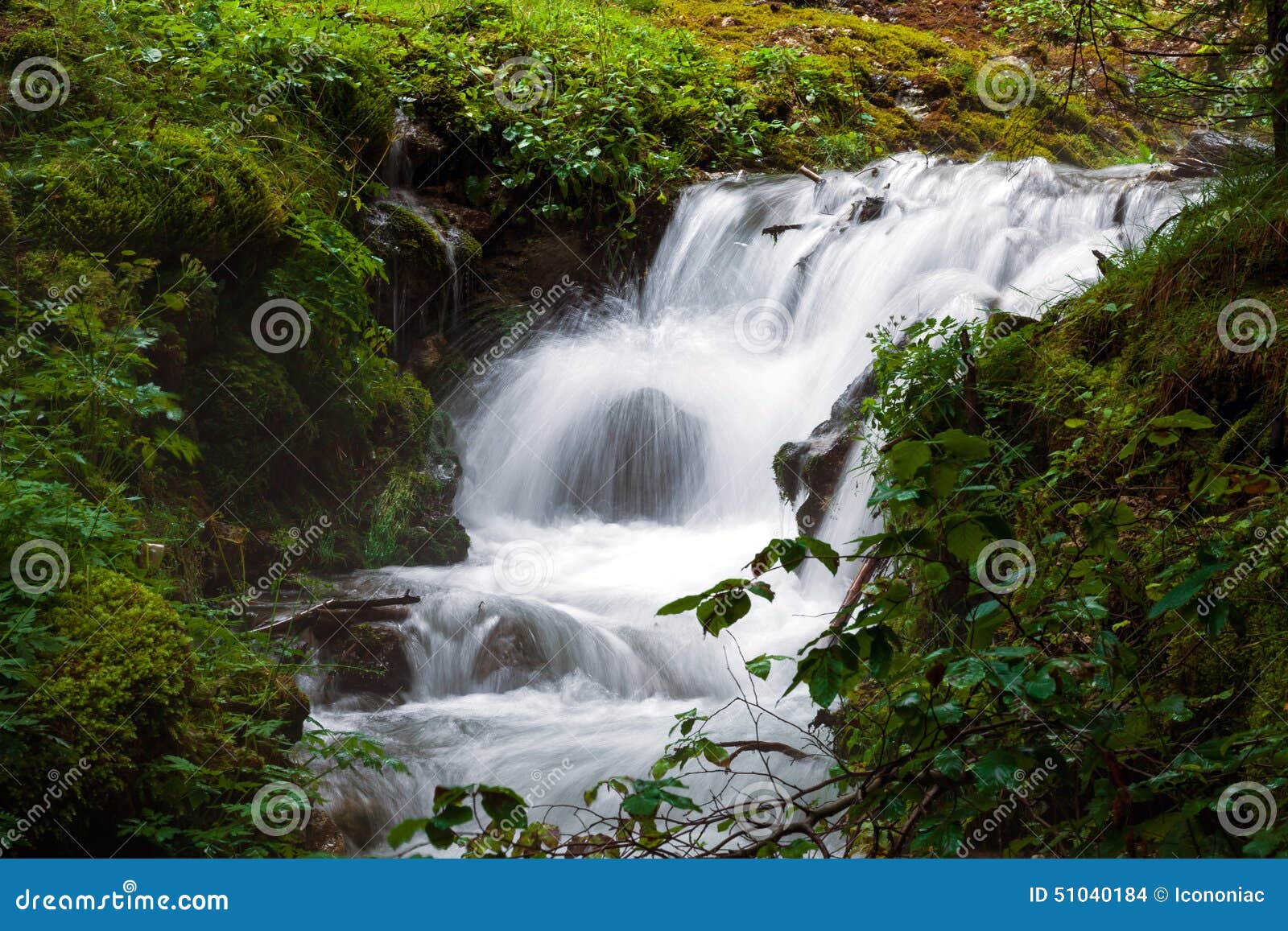 Forest Stream Waterfall Surrounded by Vegetation Running Stock Photo ...