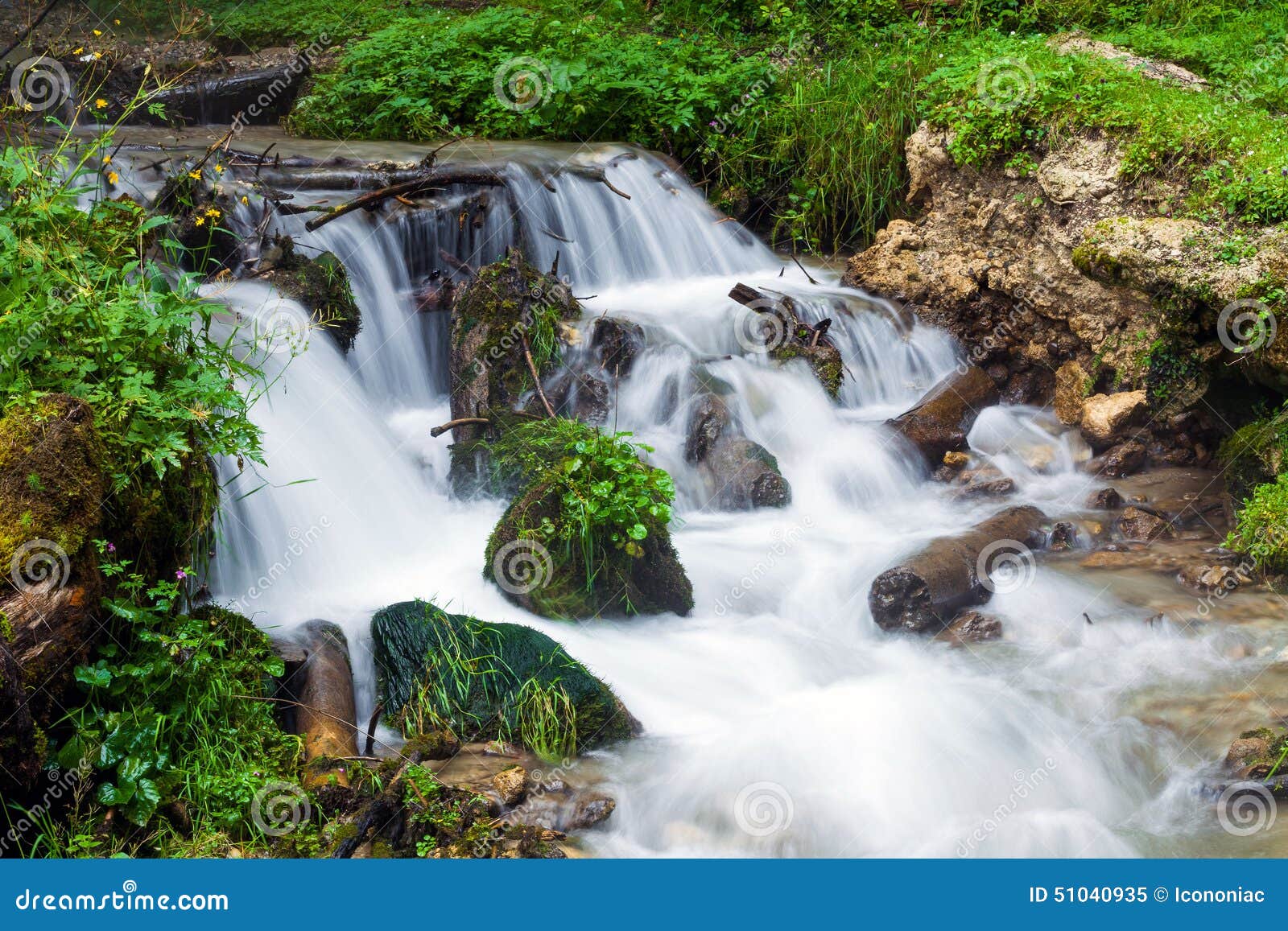 Forest Stream Waterfall Surrounded by Vegetation Stock Image - Image of ...