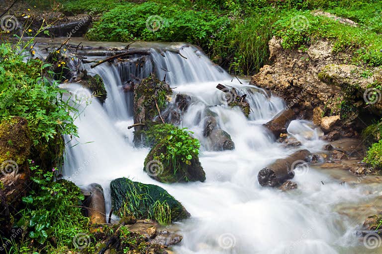 Forest Stream Waterfall Surrounded by Vegetation Stock Image - Image of ...