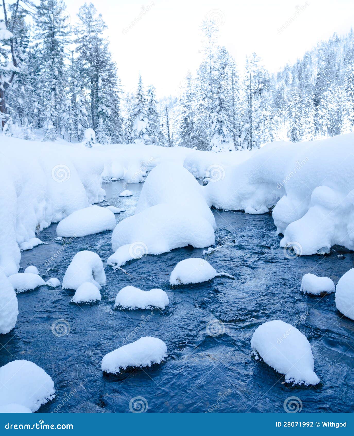 Forest stream in winter stock photo. Image of scenery - 28071992