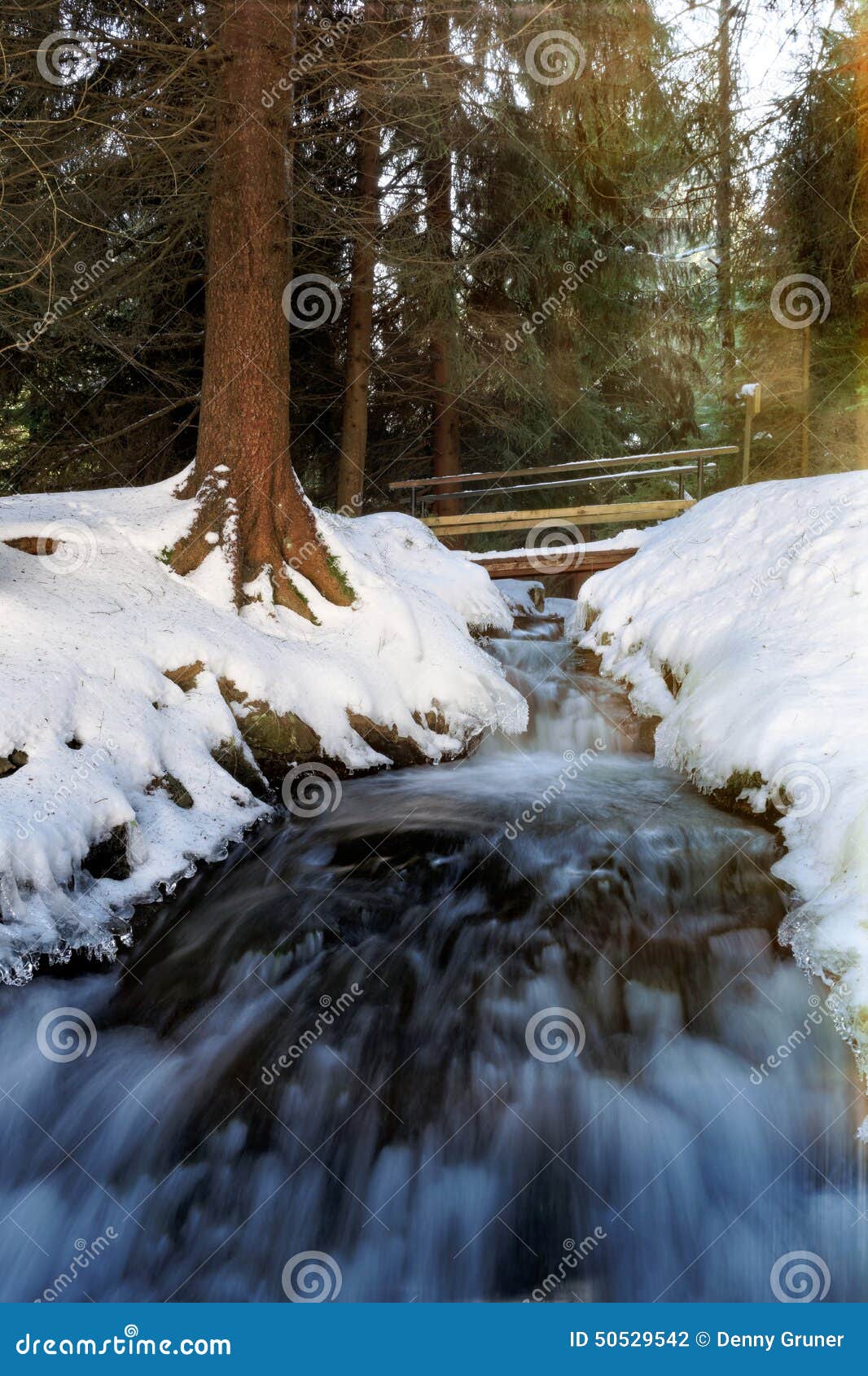 Forest stream in winter stock photo. Image of december - 50529542