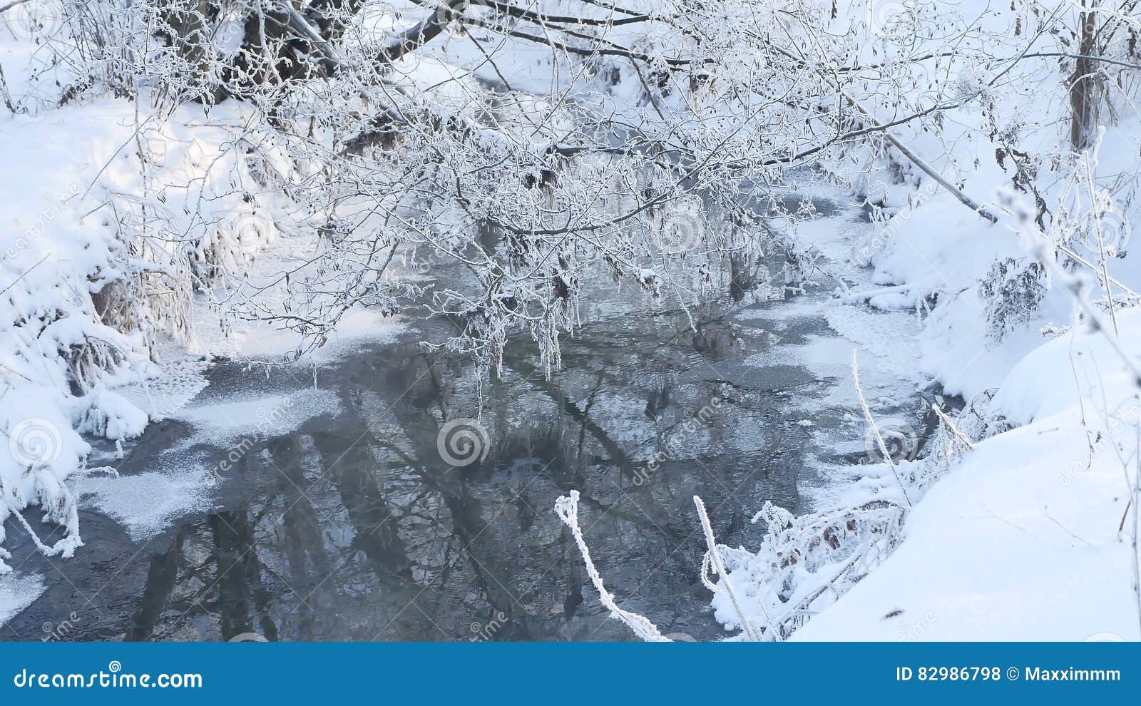 Forest Stream in Winter Snow Grass and Tree Nature Beautiful Landscape ...