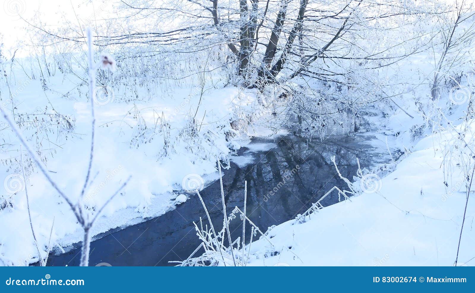 Forest Stream in Winter Snow Grass and Trees Beautiful Nature Landscape ...