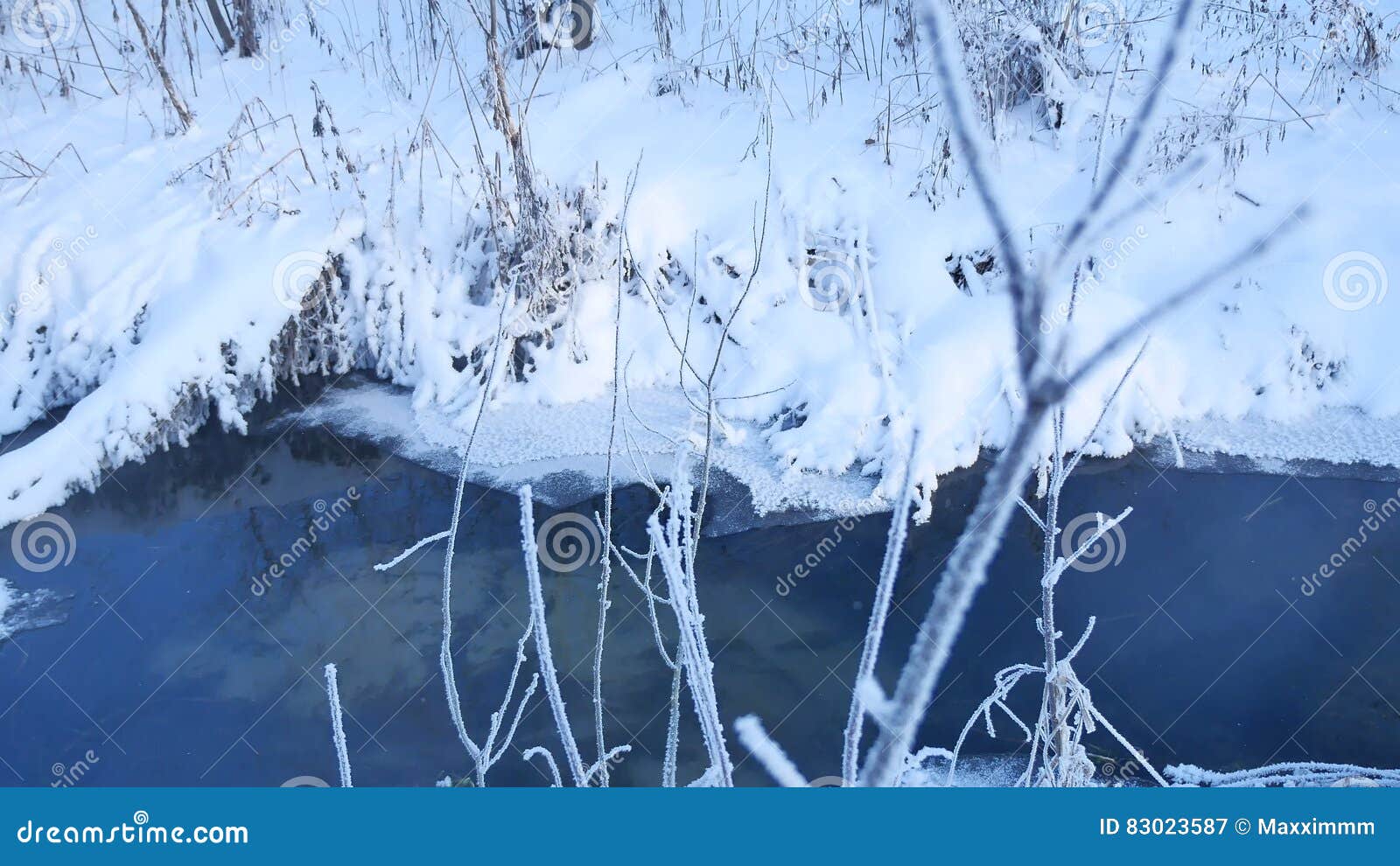 Forest Stream in Winter Snow Nature Grass and Tree Beautiful Landscape ...