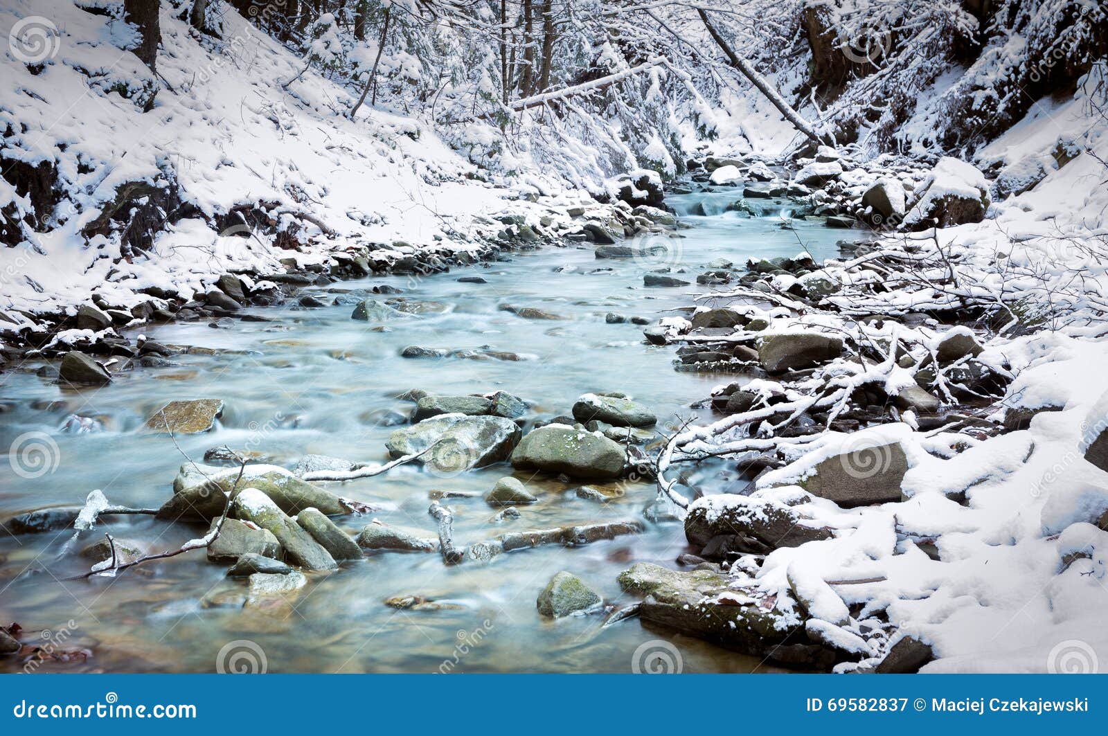 Forest stream in winter stock image. Image of christmas - 69582837