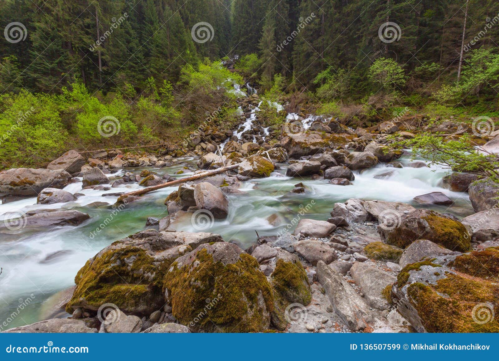 Forest Streams in Mountains at Spring Stock Image - Image of mountain ...