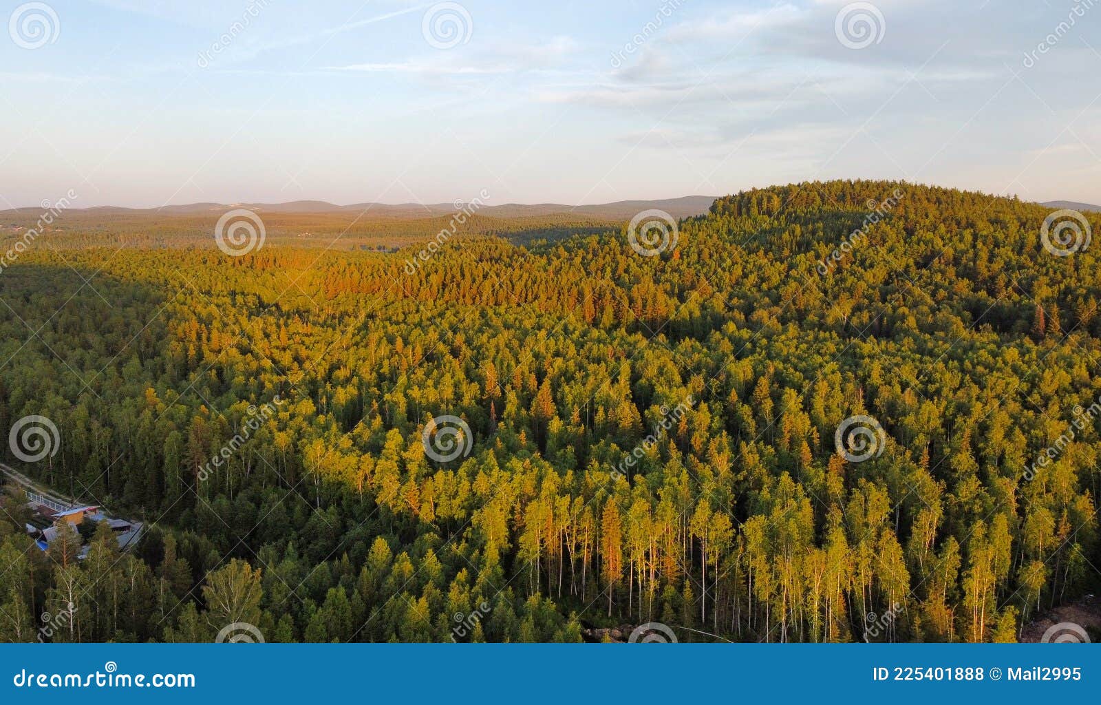 Forest at Sunset from Birds Eye View Stock Photo - Image of prairie ...