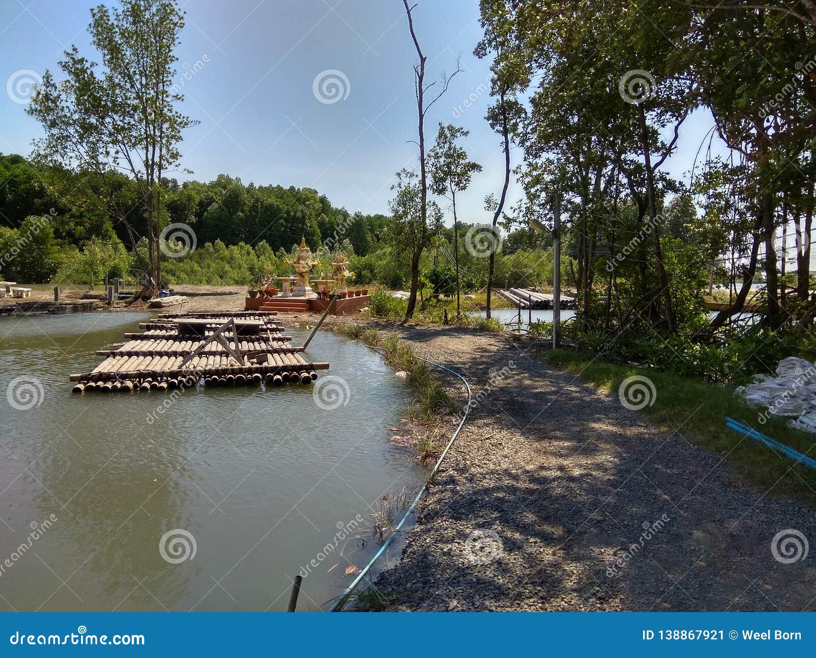 Forest surround the river stock image. Image of green - 138867921