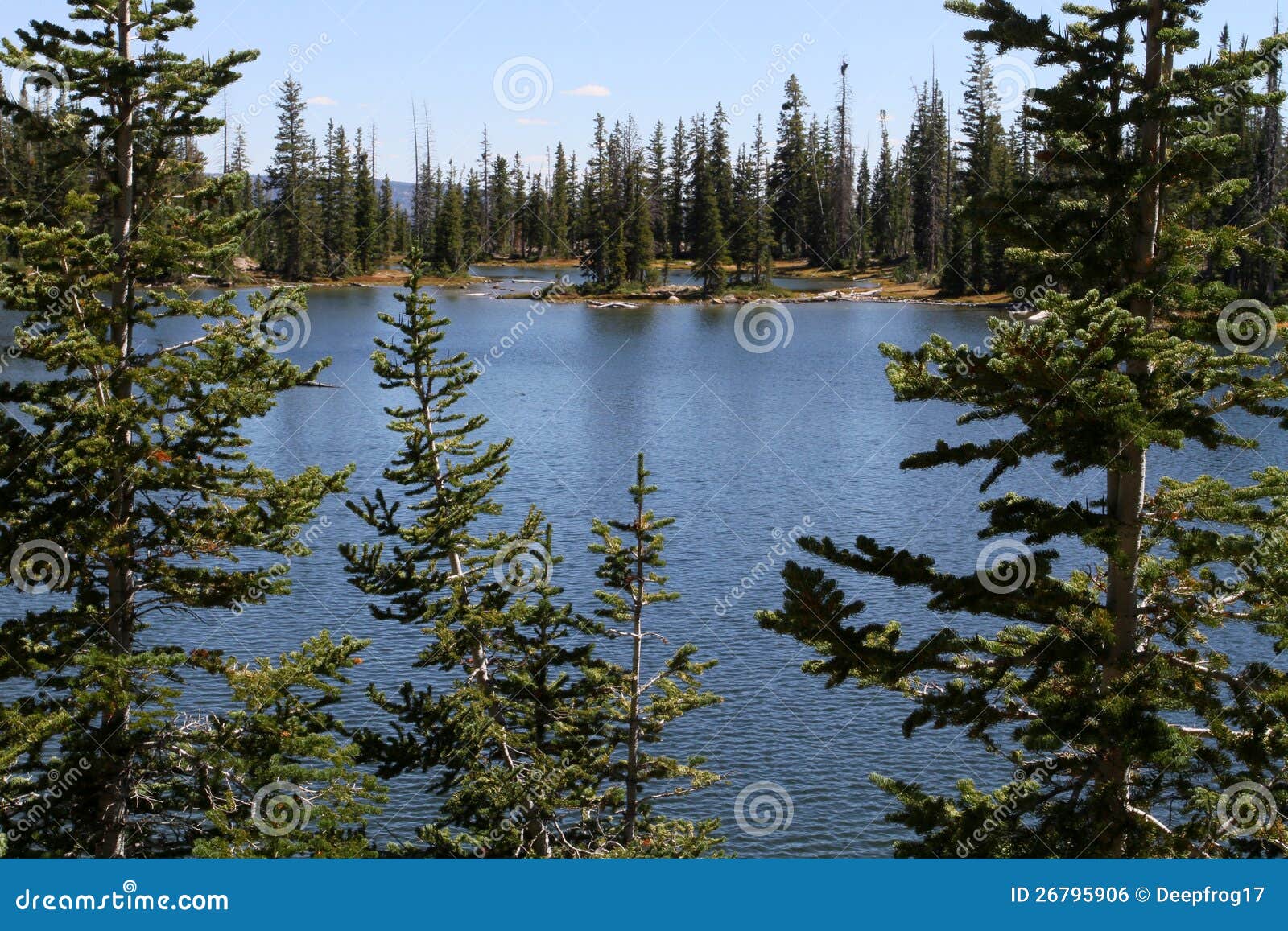 Forest surrounding lake stock photo. Image of shoreline - 26795906