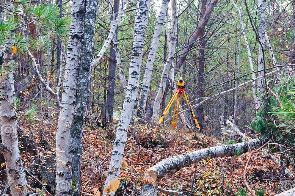 Forest survey stock photo. Image of tripod, geodesy, autumn - 27418560
