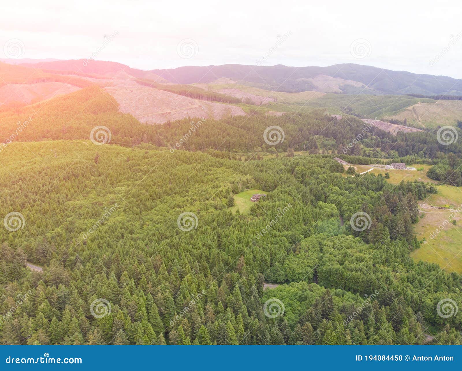 Forest Taken from a Height, Texture Stock Photo - Image of texture ...