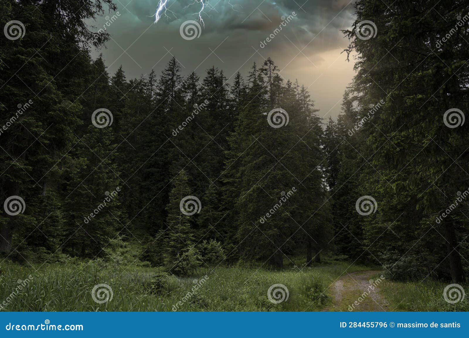 Forest Taken during a Thunderstorm with Lightning Stock Photo - Image ...