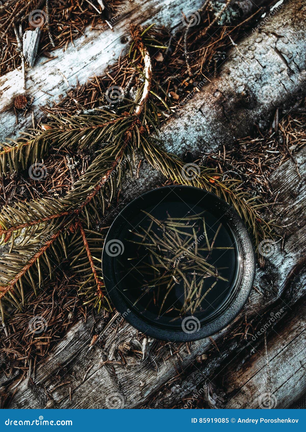 Forest Tea imagen de archivo. Imagen de alza, acampada - 85919085