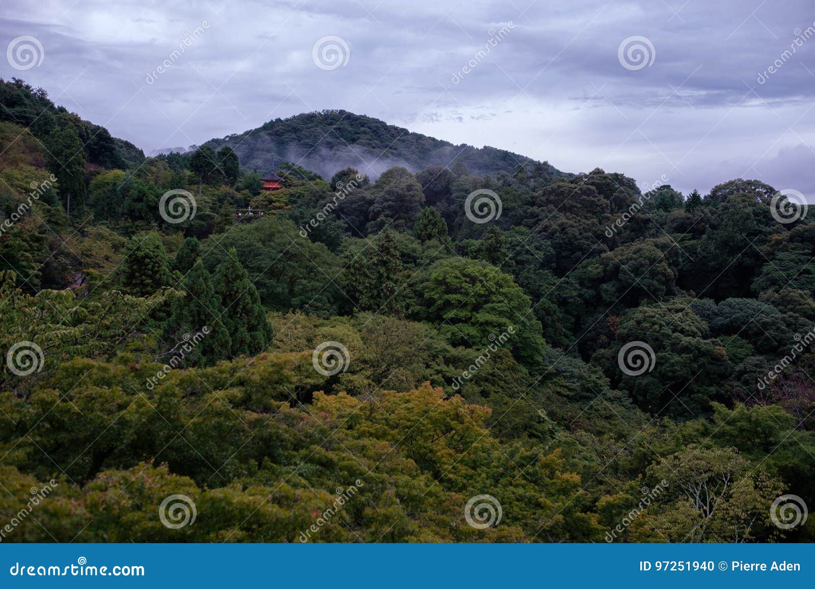 Forest with Temple in Kyoto Stock Photo - Image of landmark, historic ...