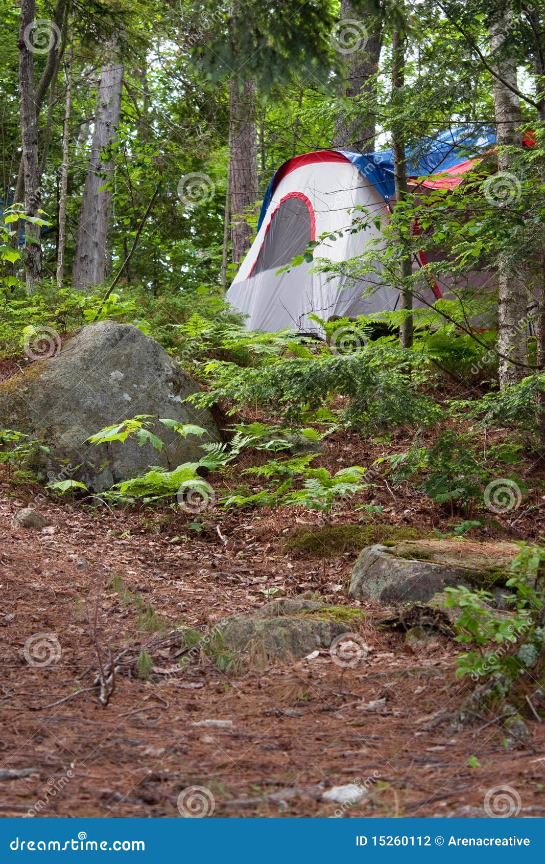 Forest Tent Camping stock photo. Image of forest, national - 15260112