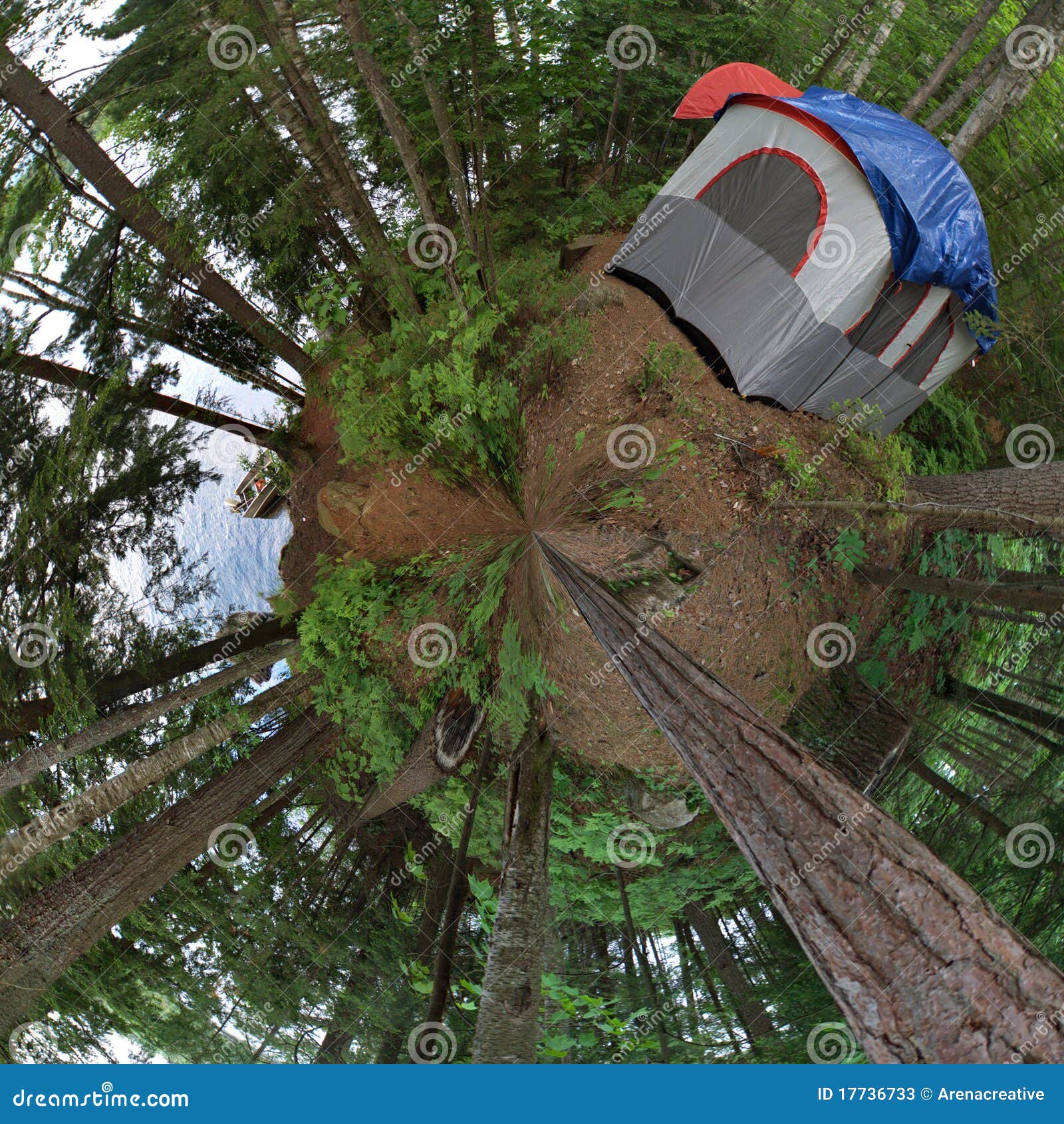 Forest Tent Camping stock image. Image of national, landscape - 17736733