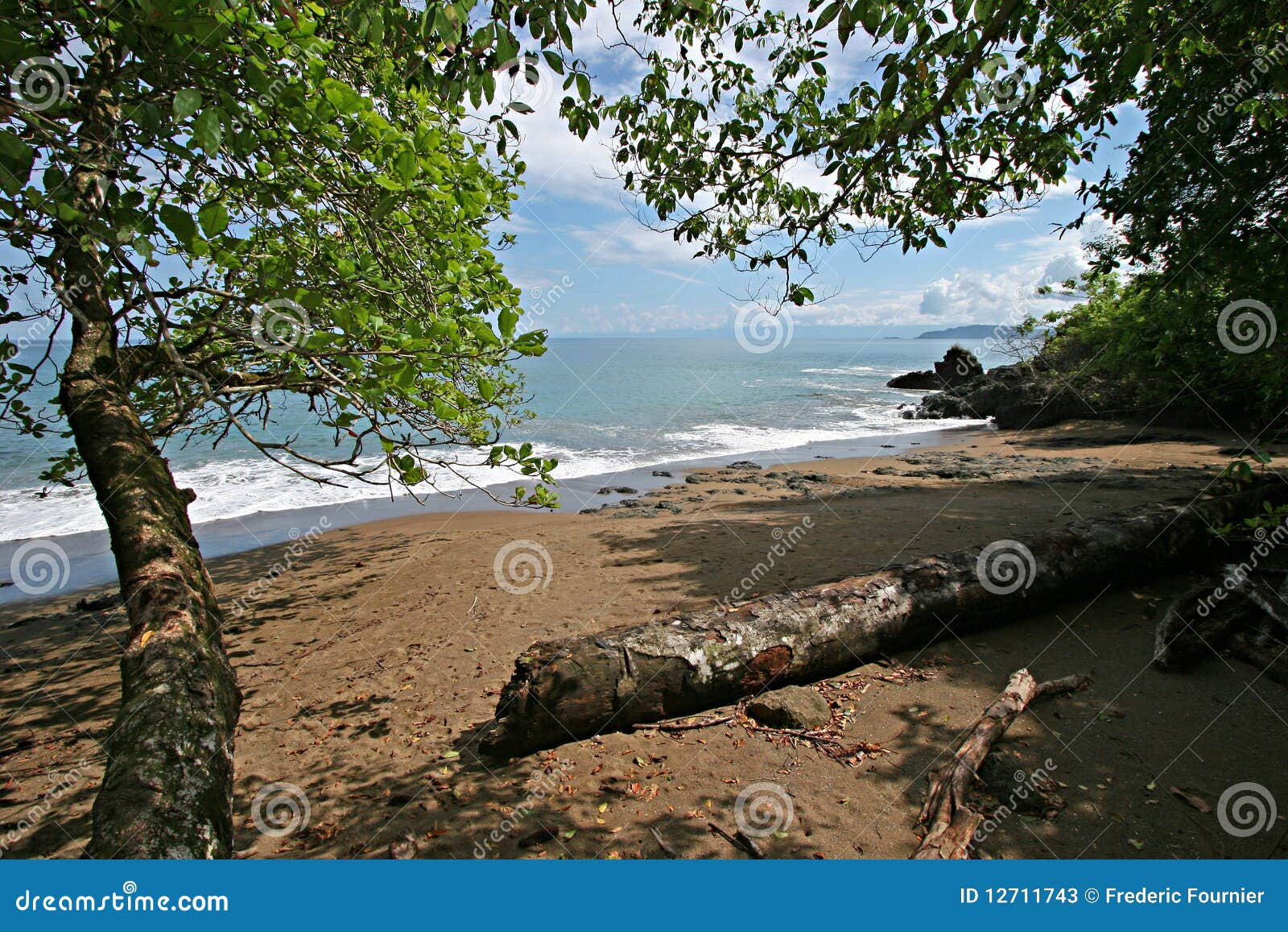 From the Forest To the Beach Stock Image - Image of america, warm: 12711743